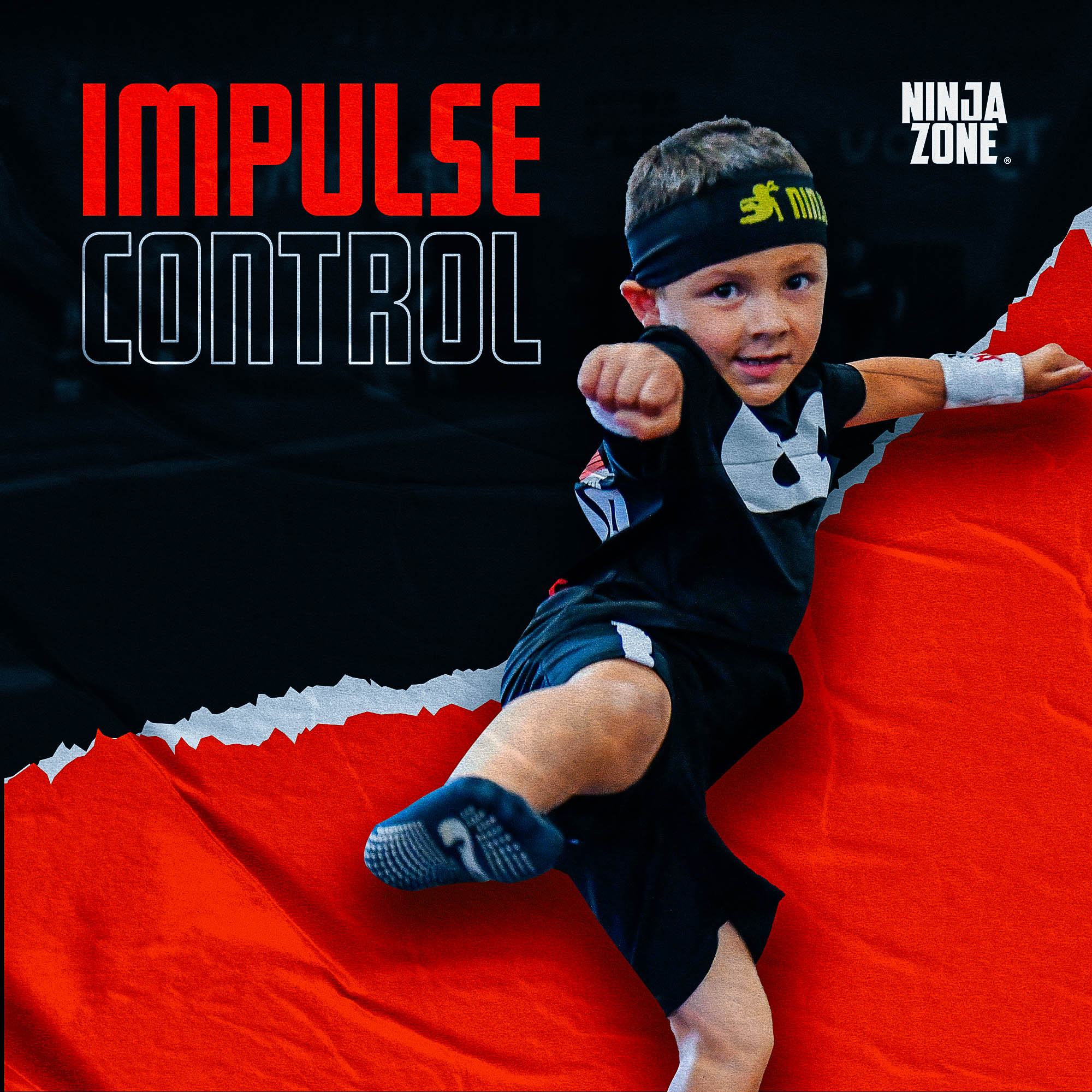 The 6 Character Pillars of NinjaZone