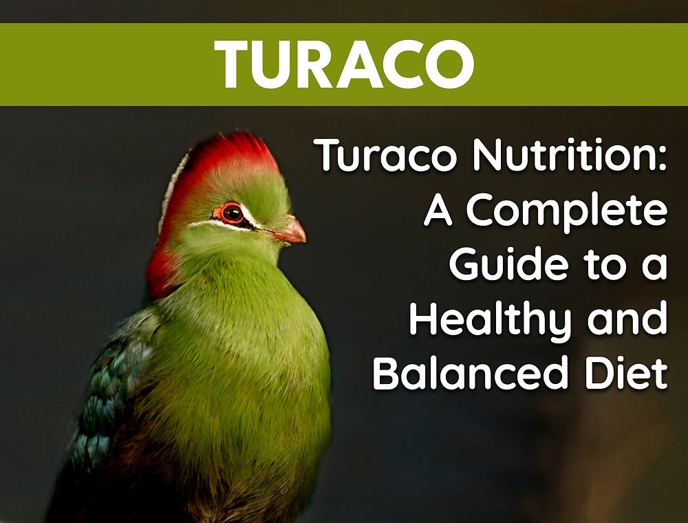 Turaco Nutrition: A Complete Guide to a Healthy and Balanced Diet