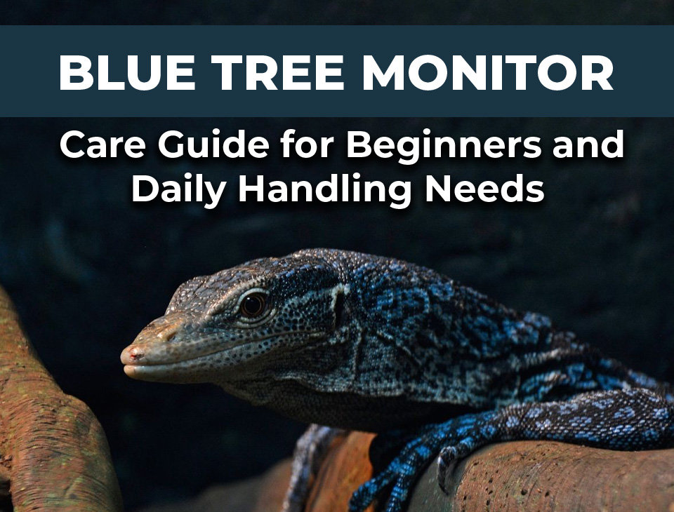 Blue Tree Monitor Care Guide