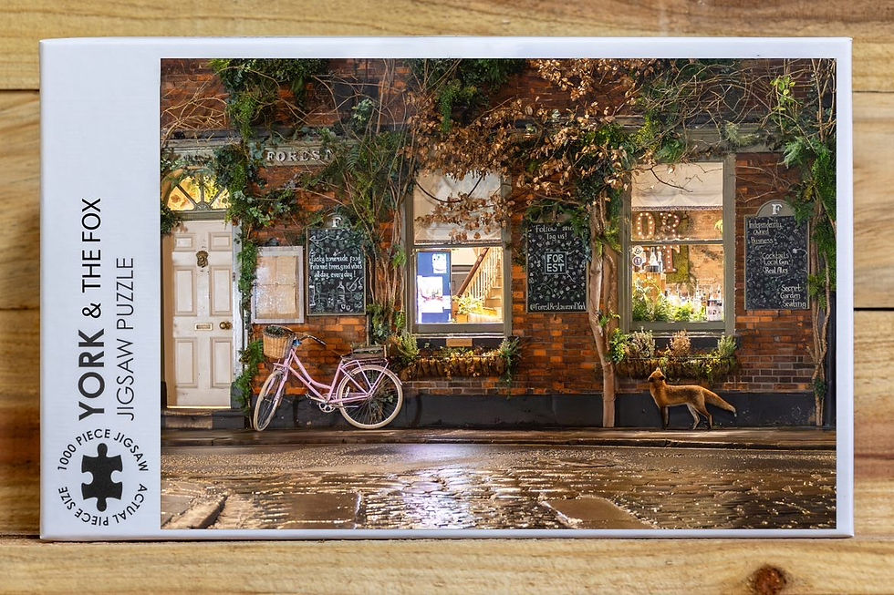 Home | Dave Zdanowicz Photography