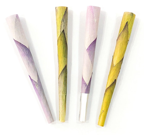 Special Lotus Leaf Cones | Cone Labs