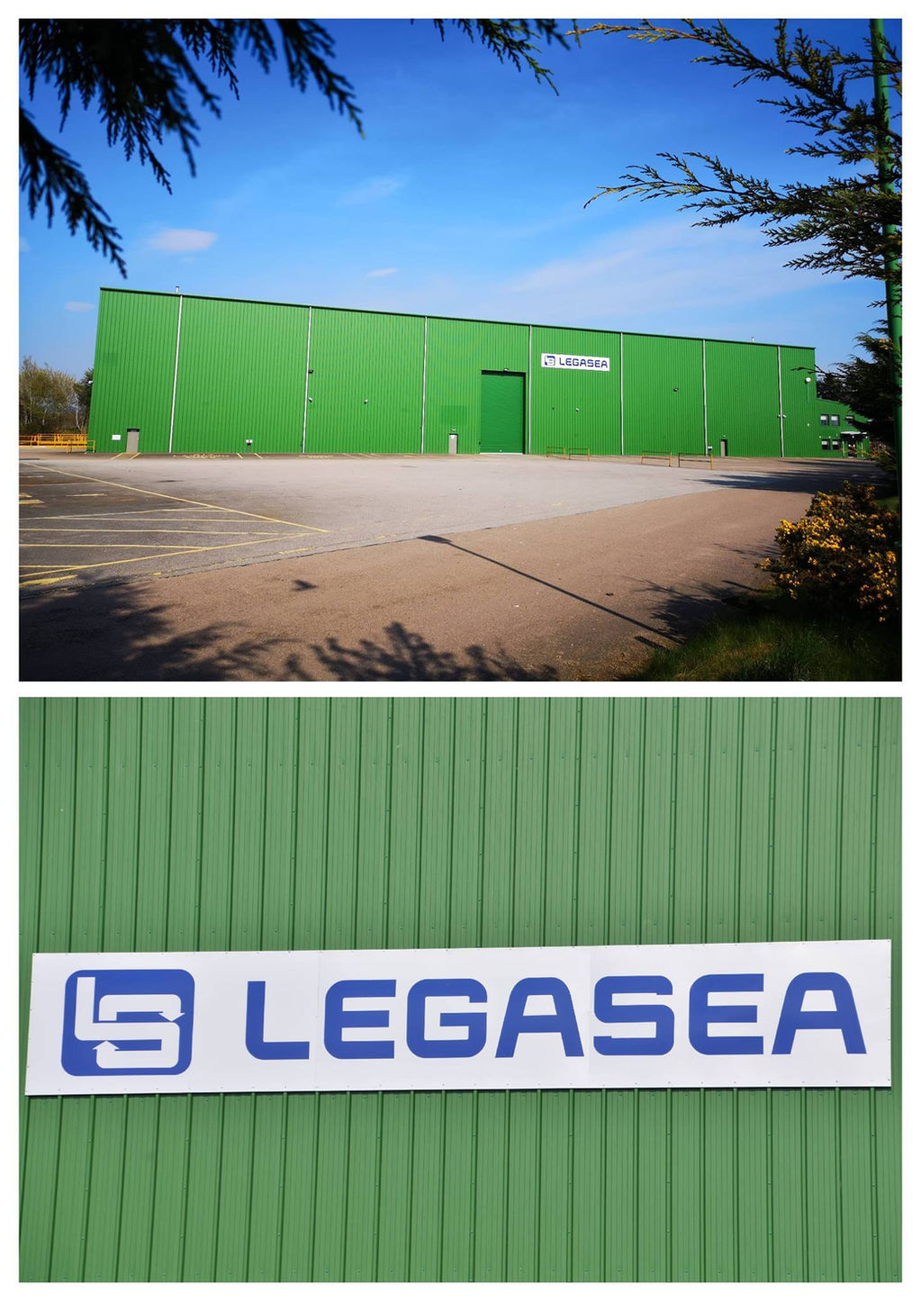 Feed | Legasea Ltd