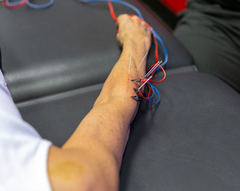 Fear of Needles? These Little Guys Shouldn't Scare You