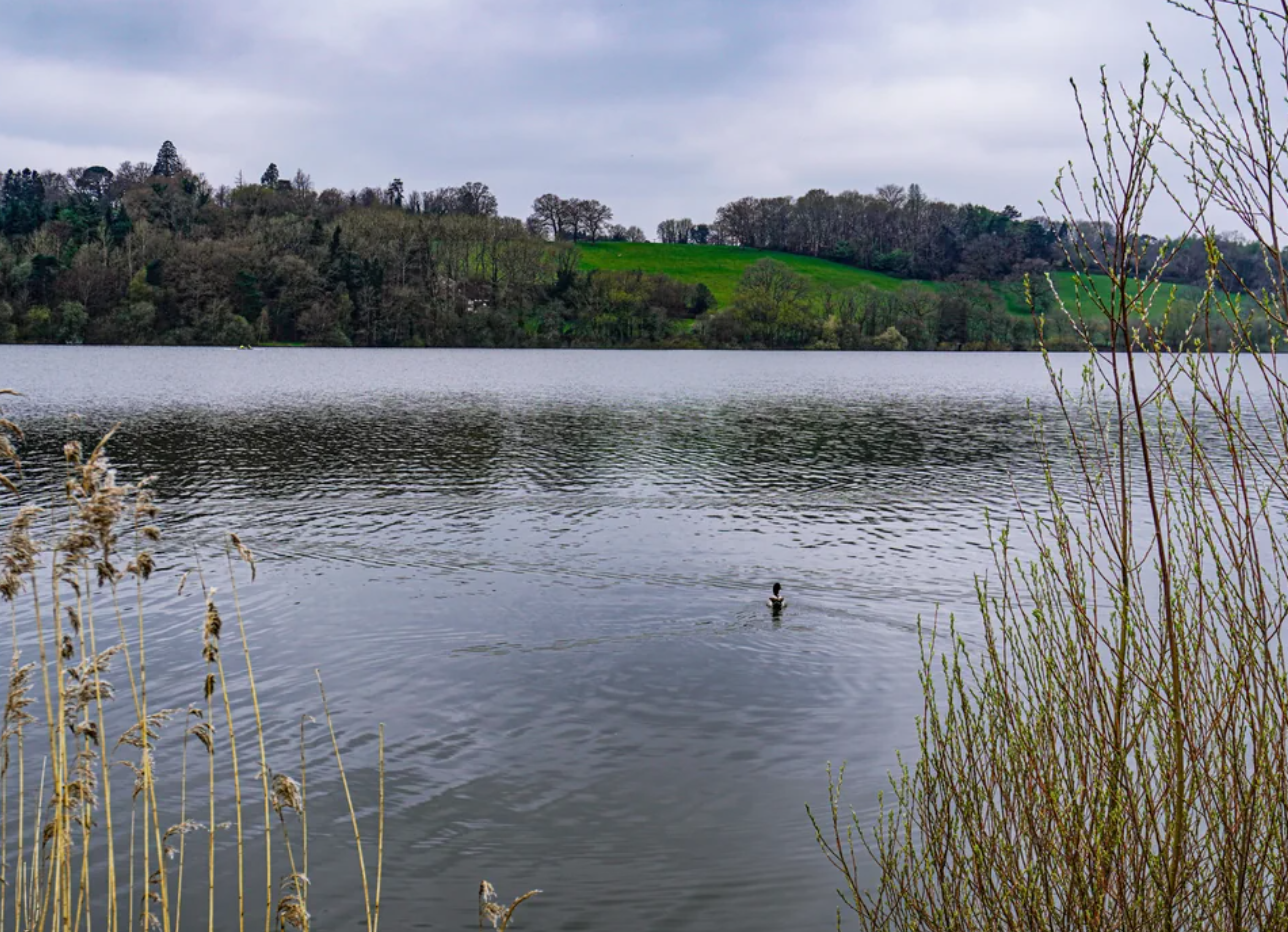 Balcombe and Ardingly Reservoir | HWWF