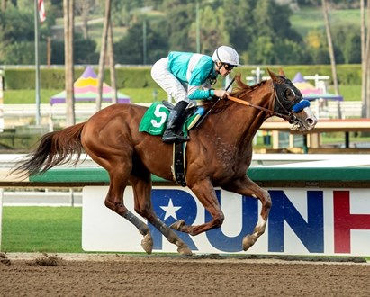 Rancho Santa Rosa Stallions