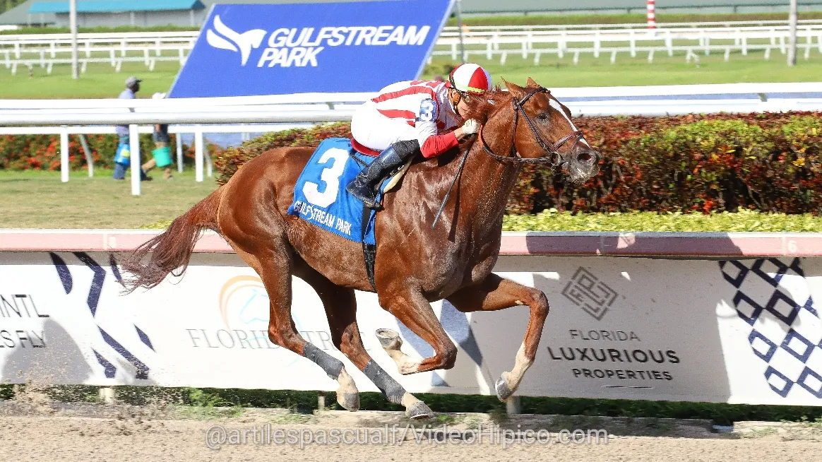 Rancho Santa Rosa Stallions