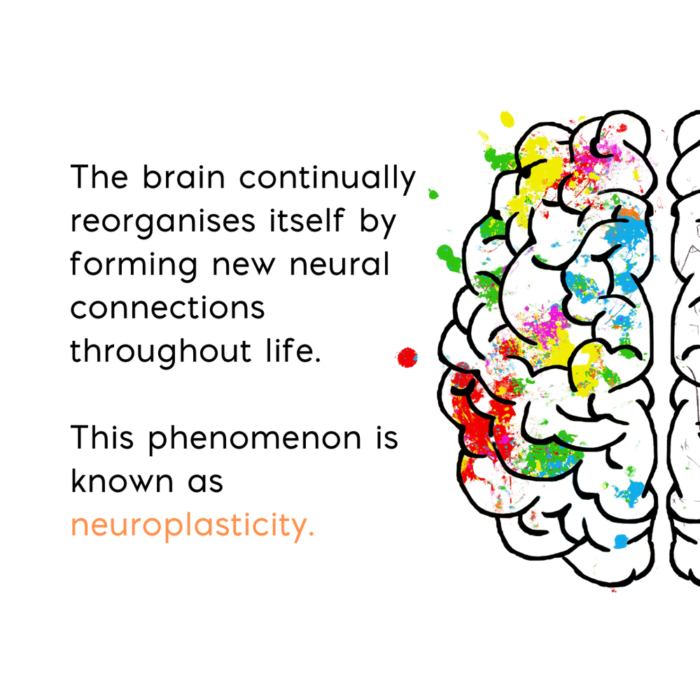 Neuroplasticity and the Brain Following Stroke