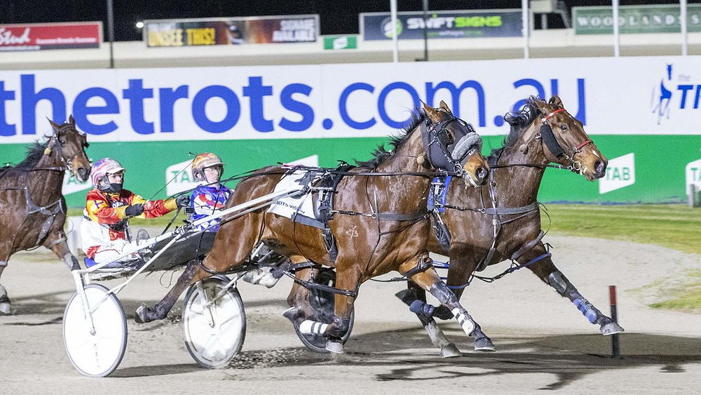 The trots ready for a red hot Renaissance!