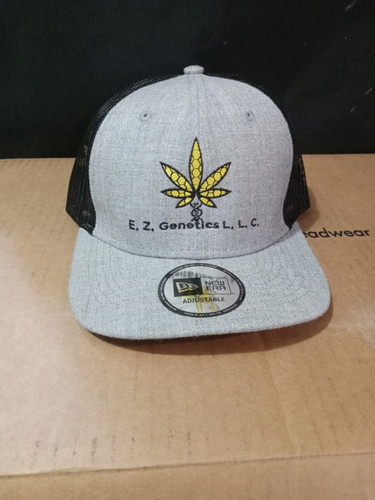 E.Z. Genetics L.L.C. Embroidered Snapback | EZ Genetics LLC