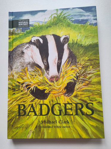 'Badgers' by Michael Clark | Badger Trust