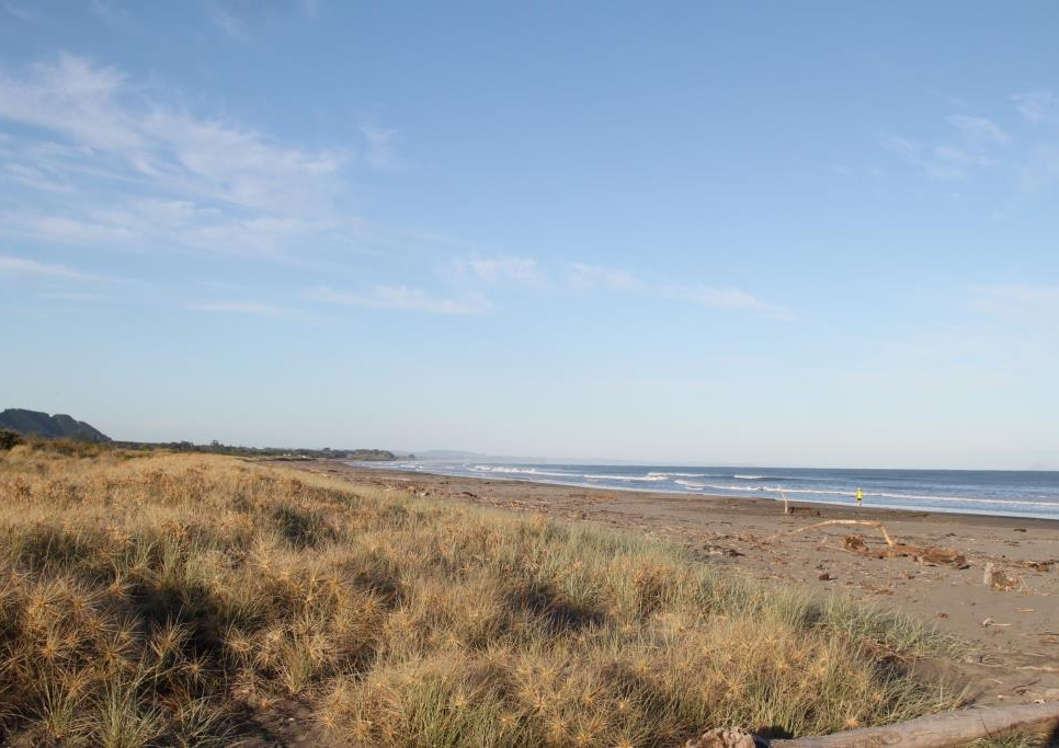 Gallery | Opape Motor Camp