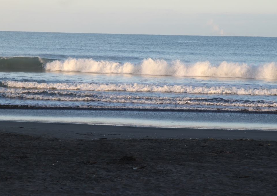 Gallery | Opape Motor Camp