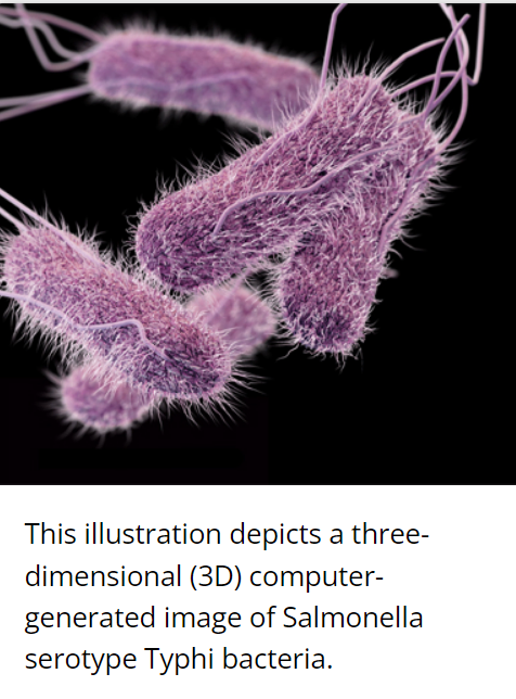 DL-003: Salmonella Foodborne Gastroenteritis, 3 CE | CAMLT