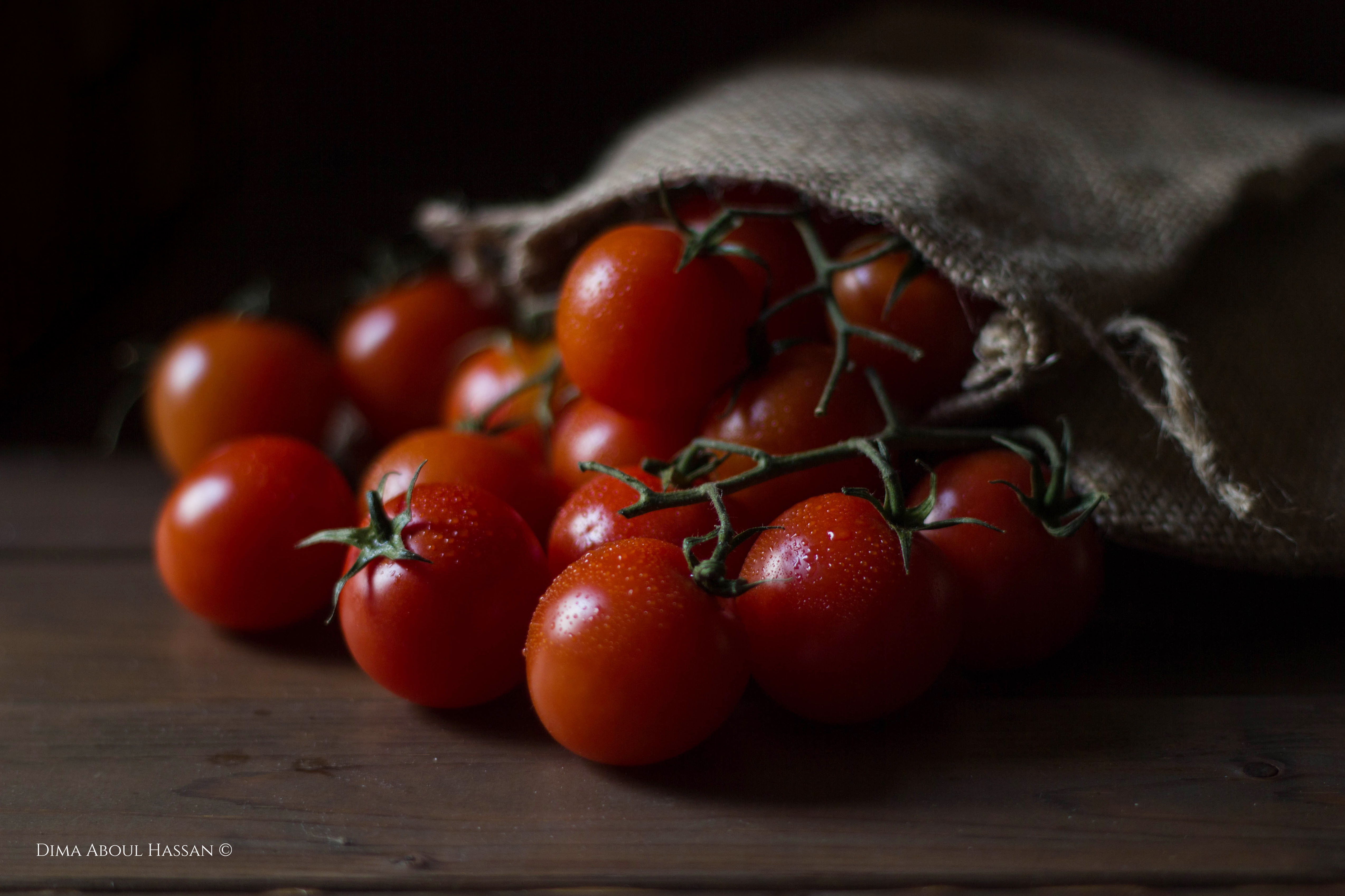 Food | Dima Aboul Hassan Photography