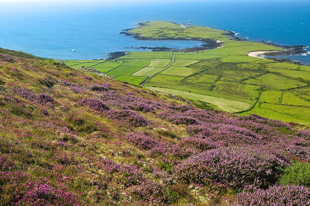 Bardsey Island | Green Traveller's Guide to Llyn