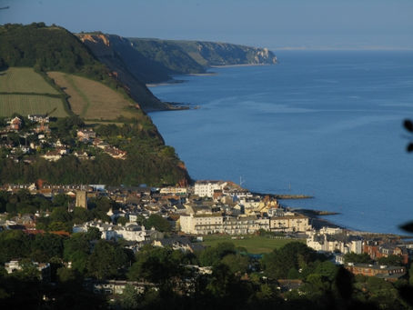 East Devon, England | Green Traveller's Guides