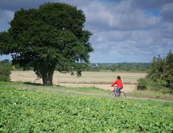 Dedham Vale AONB | Green Traveller's Guides