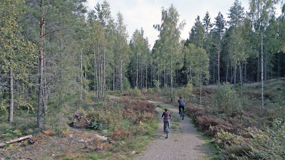 Inforest, West Sweden