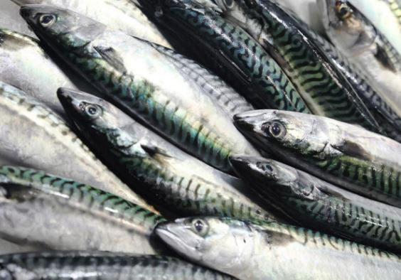Nigeria Has 2,5 Million Metric Tonnes of Fish Deficit - Minister