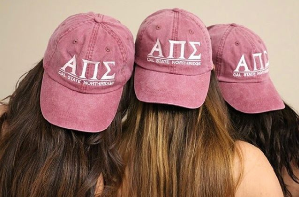 Alpha Pi Sigma Sorority Inc.