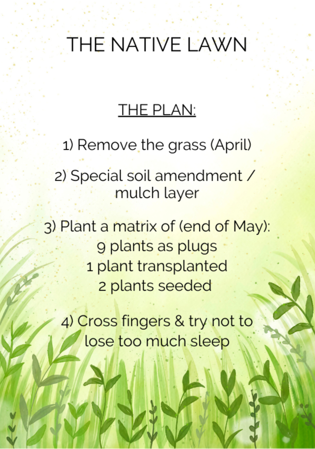 The Native Lawn: An Introduction