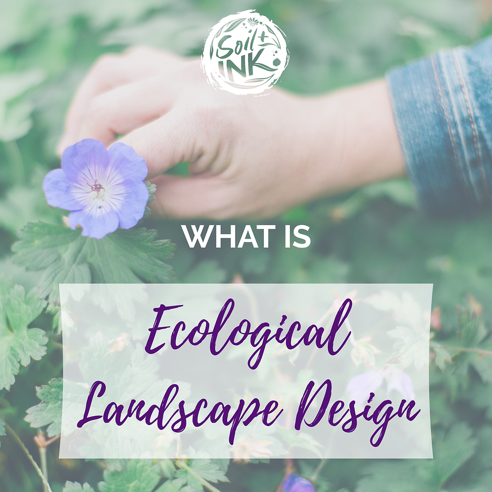 What is Ecological Landscape Design?