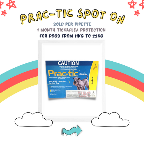 Prac-Tic Spot On for Medium Dogs | Zacarias Animal Clin