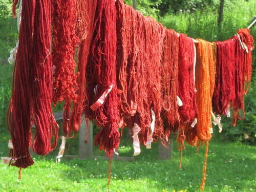 Shades of Red, a Myriad of Natural Red Dyes | Joann Darling | Newbury