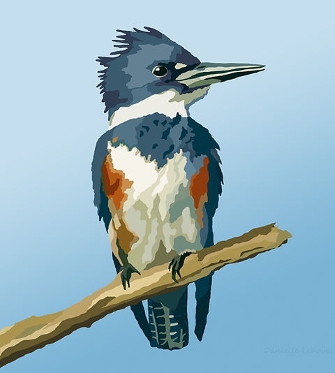 kingfisher artwork