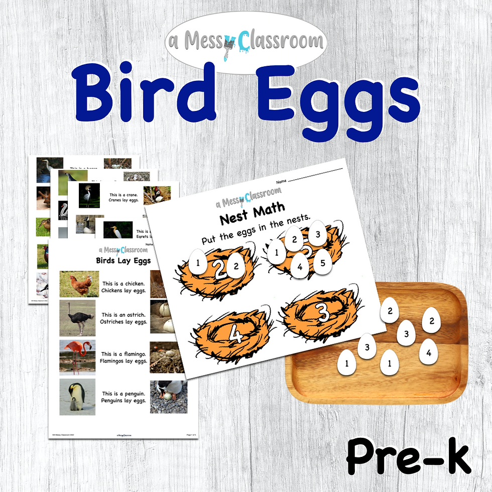 Top 10 Preschool Bird Lesson Ideas