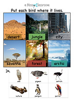 Preschool Birds | A Messy Classroom