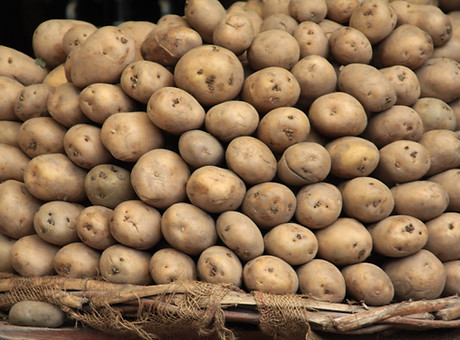 Productos | Frutas Cano