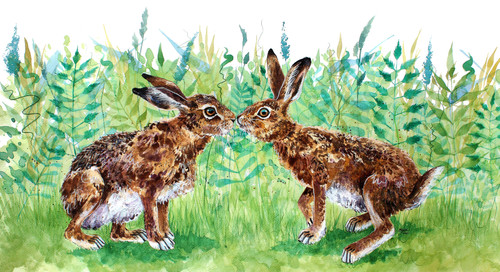 'Summer Loving' Original Hare Painting | Jina Gelder Illustration