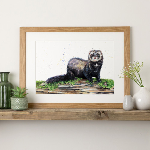 'Bandit' Polecat | Original Watercolour Painting | Jina Gelder Illustration