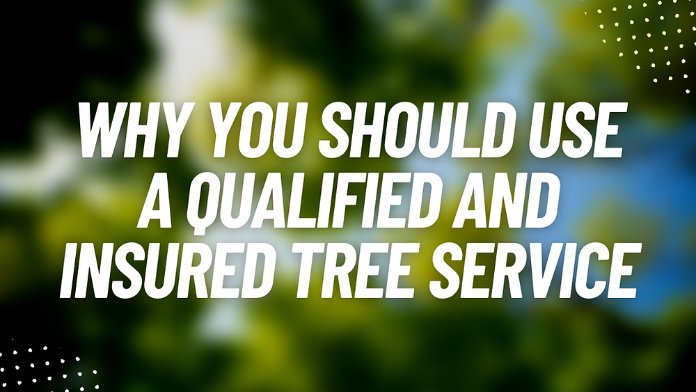 Why You Should Use a Qualified and Insured Tree Service for Emergency ...