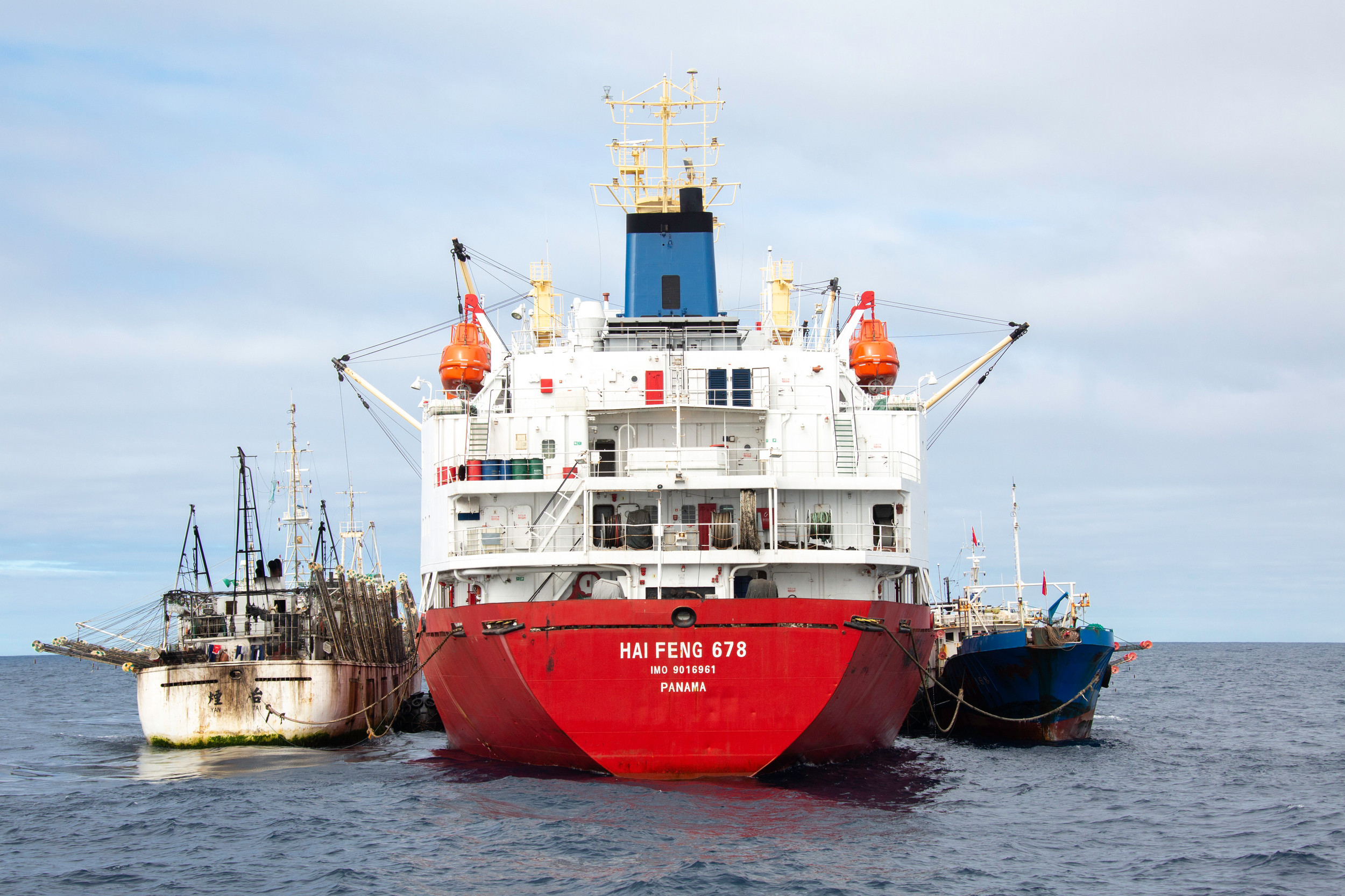 Squid Fleet 2018-2023 | artisonal