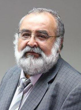 MARIO PEREIRA ARREDONDO | Colegio de Geologos