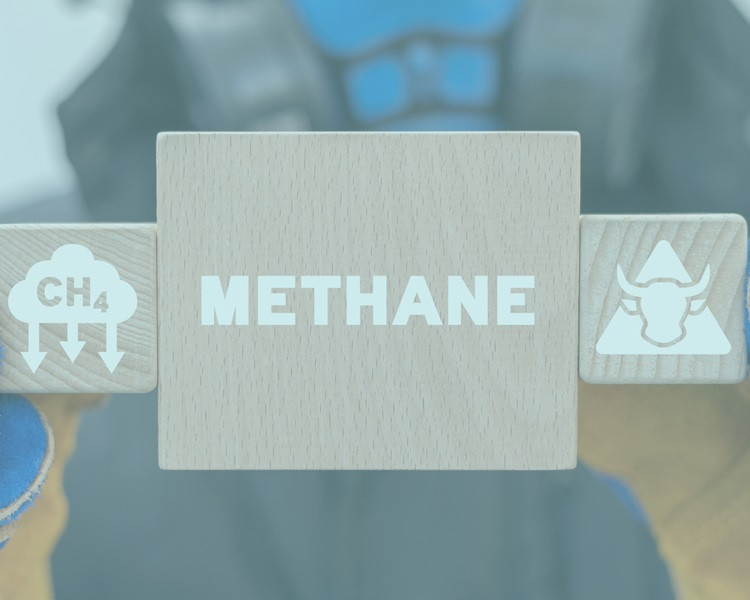 Methane Matters: Why We Need to Focus on More Than Just CO2