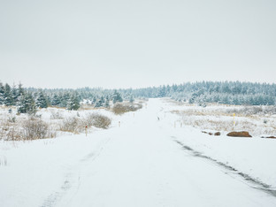 David Ryle Photographer & Director | Advertising Photographer