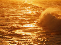 David Ryle Photographer & Director - Projects