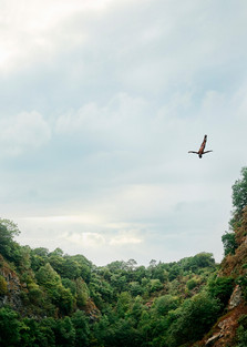 Commissions | David Ryle