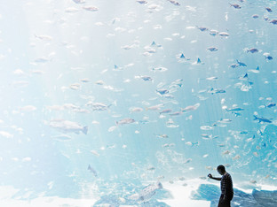 David Ryle Photography | Advertising Photographer