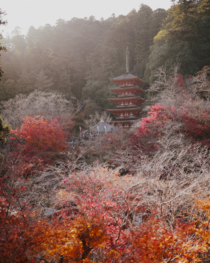 Yamato spiritual tour | Nara YAMATO Spirit Tours | Japan guide