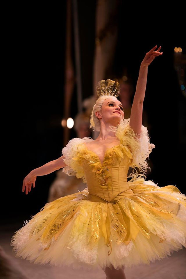 Ballet "A Bela Adormecida" A produção que você não pode deixar de ver.