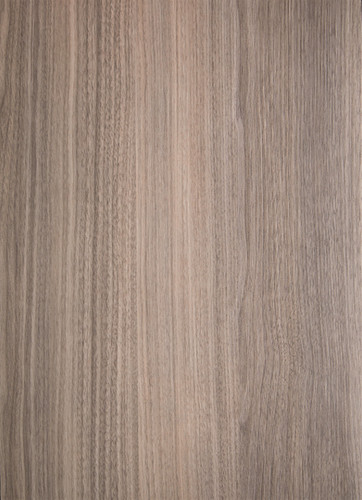 Golden Artisan Walnut | Archrep