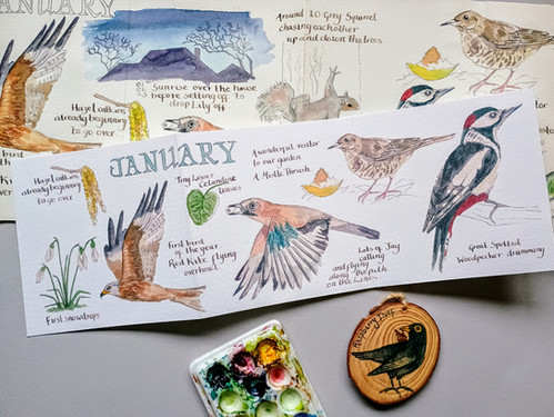 January Nature Journaling Card | Website