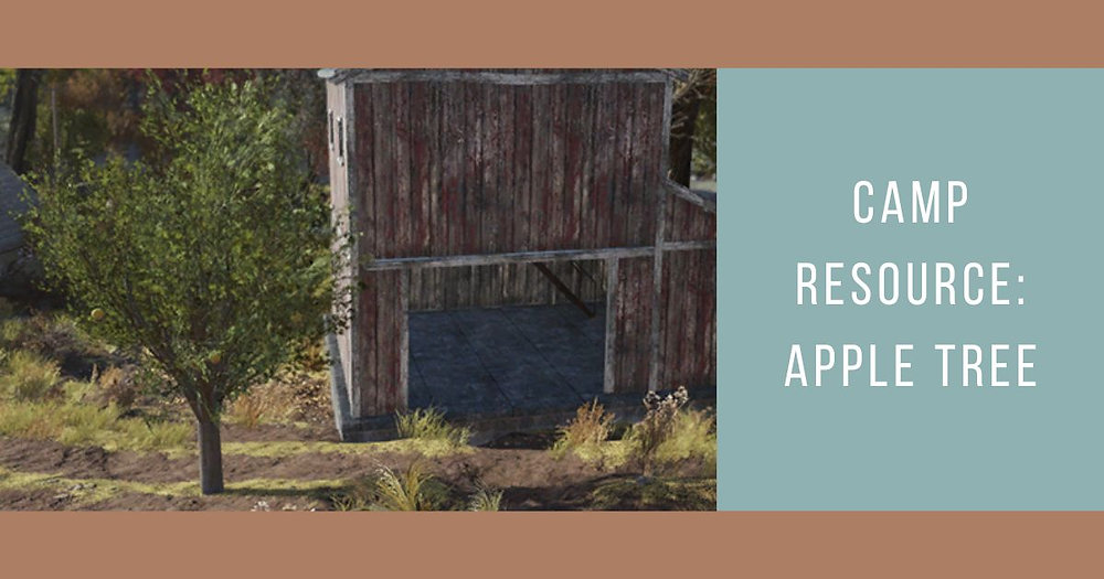Camp Resource: Apple Tree