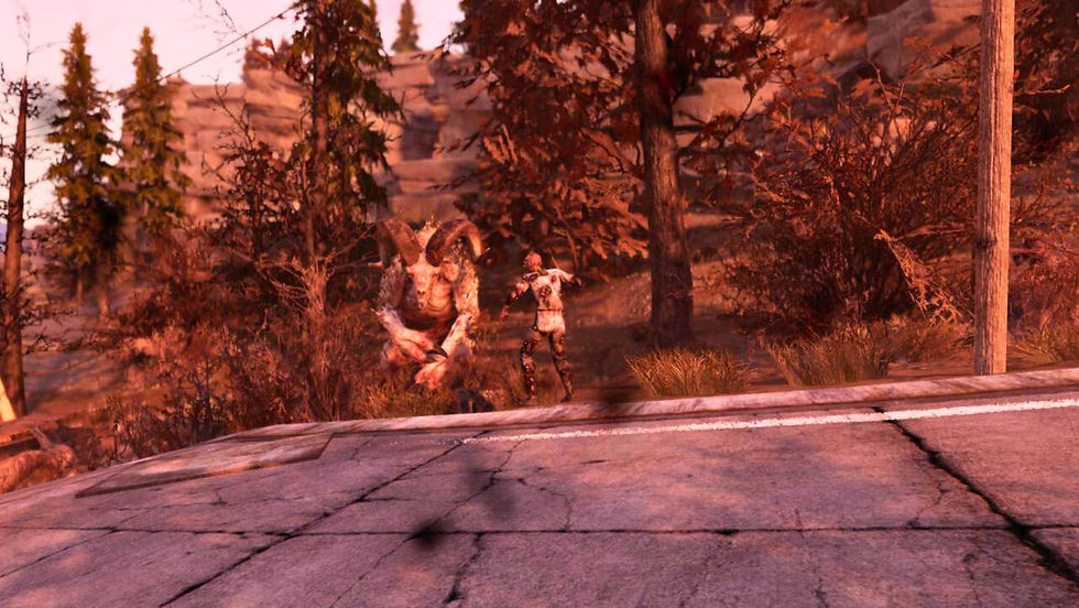 Where to find the Sheepsquatch and Sheepsquatch meat in Fallout 76