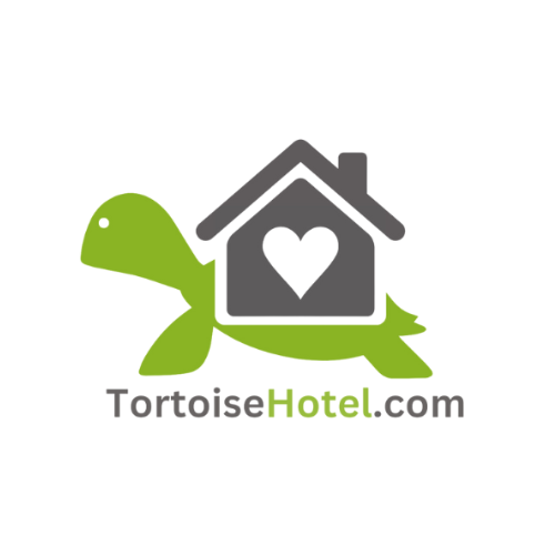Meet Our Dedicated Tortoise Care Team | The Tortoise Hotel