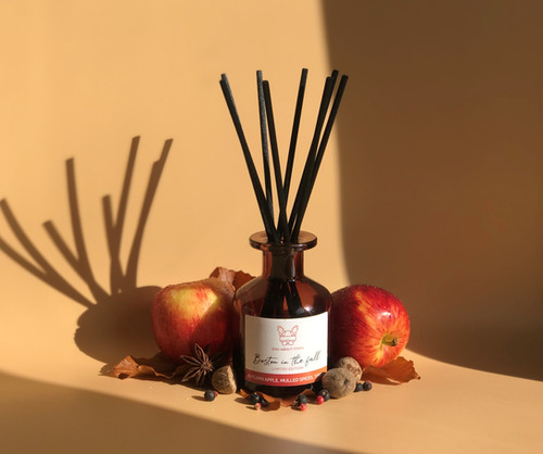 BOSTON IN THE FALL - REED DIFFUSER | Dog about town
